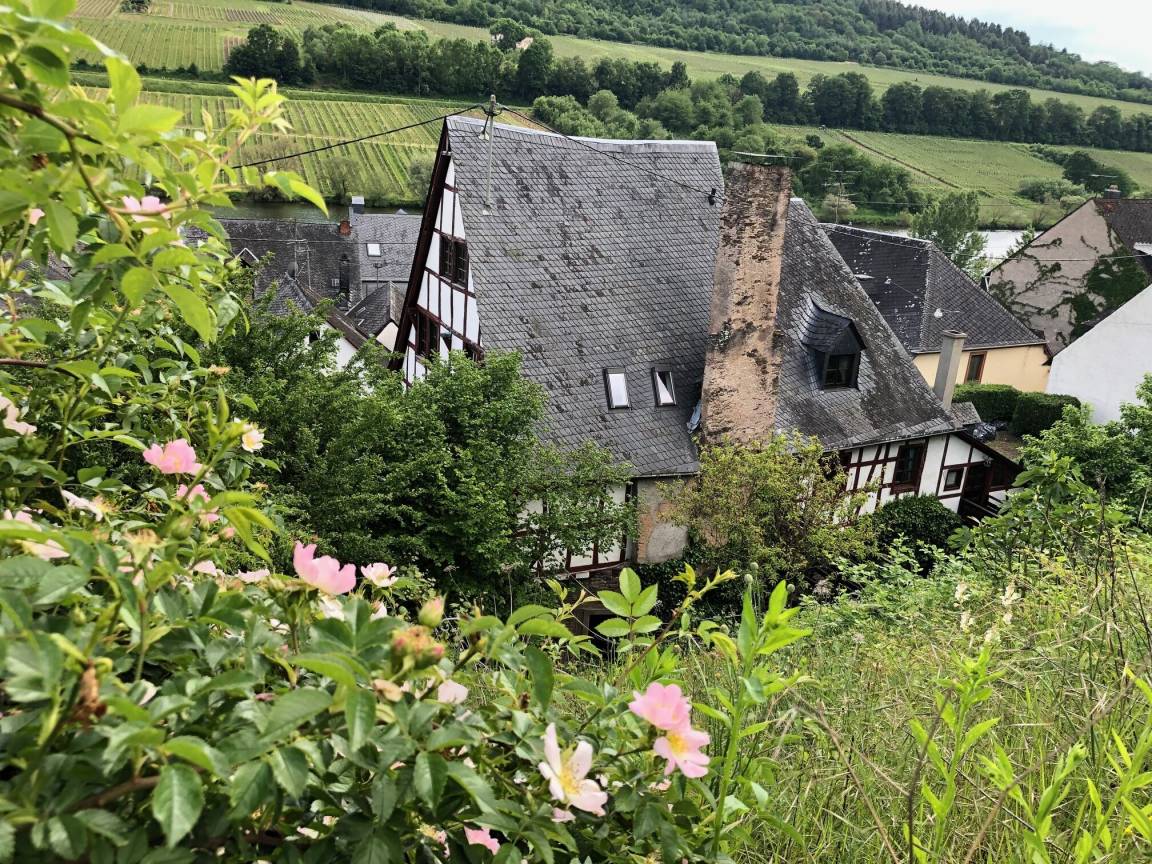 55 M² Ferienwohnung ∙ 1 Schlafzimmer ∙ 2 Gäste - Hahn