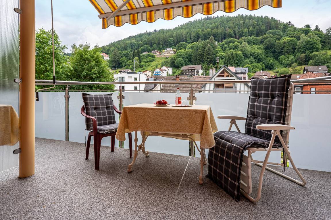 20 M² Pokój ∙ 1 Sypialnia ∙ 1 Gość - Bad Wildbad