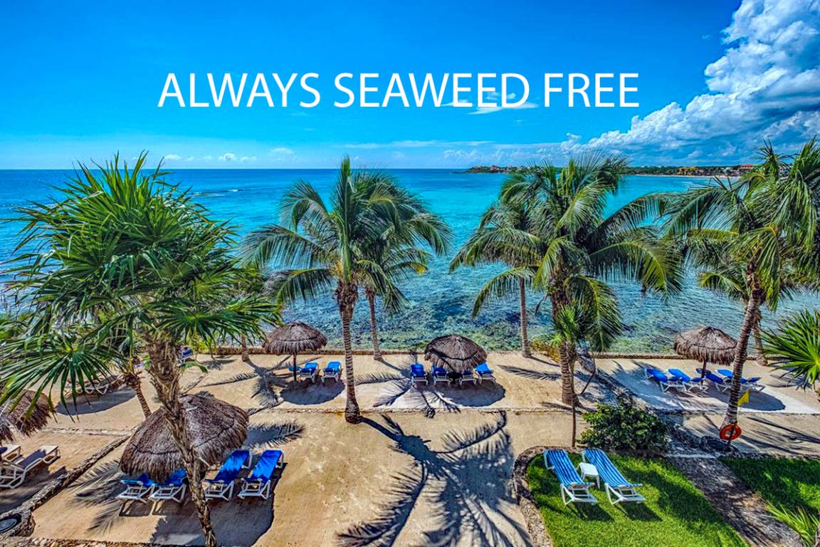 139 M² Apartamento ∙ 2 Habitaciones ∙ 5 Huéspedes - Akumal