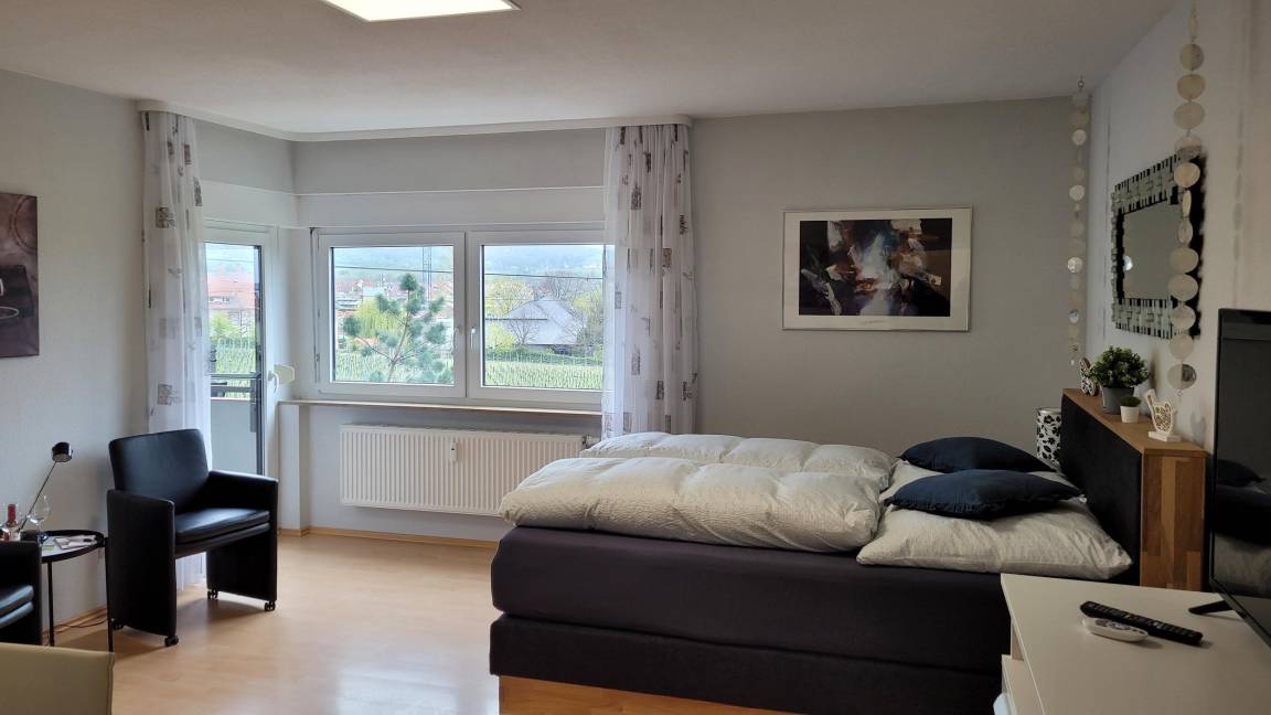 34 M² Ferienwohnung ∙ 1 Schlafzimmer ∙ 2 Gäste - Bad Dürkheim