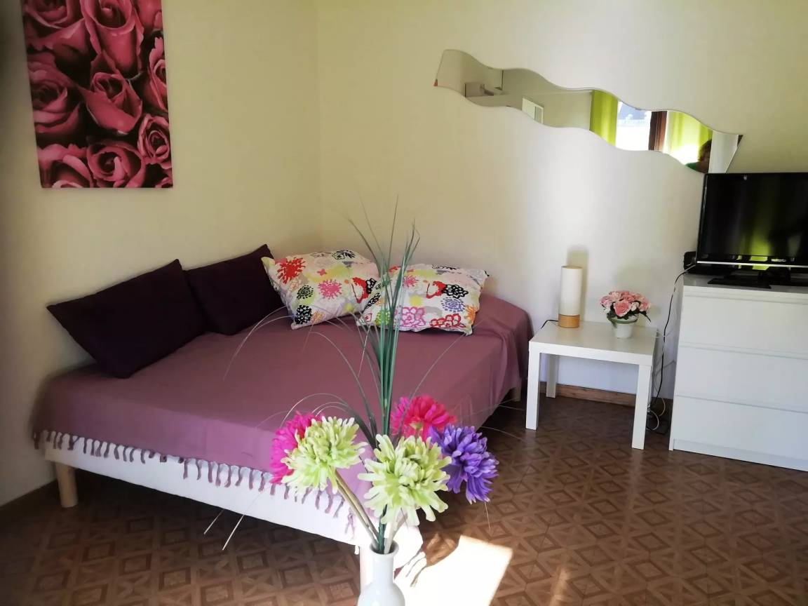 24 M² Studio Flat ∙ 1 Bedroom ∙ 2 Guests - Lac du Bourget