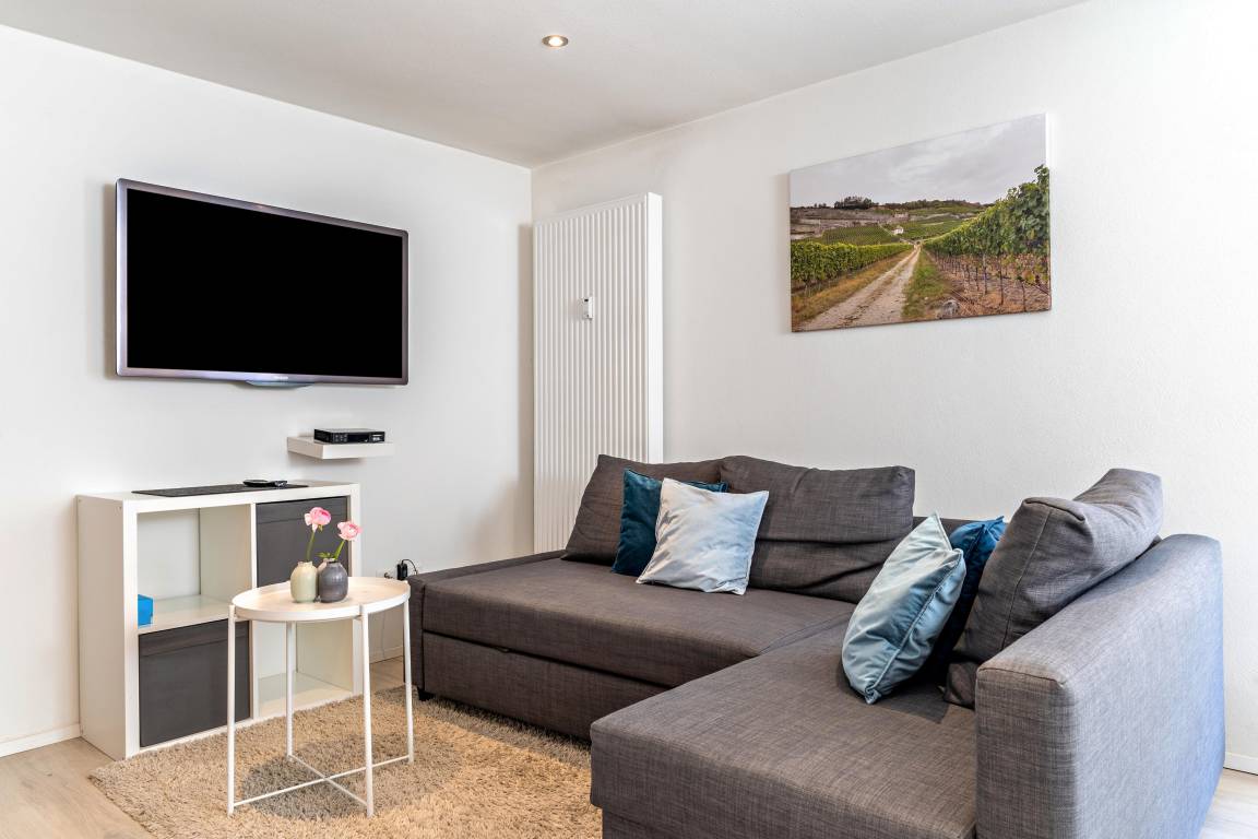 50 M² Apartment ∙ 1 Bedroom ∙ 4 Guests - Bötzingen