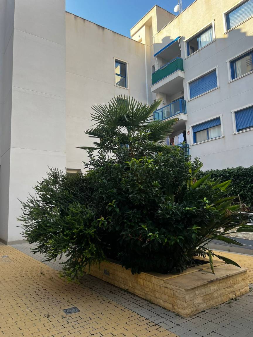 70 M² Aparthotel ∙ 2 Chambres ∙ 4 Personnes - Alicante