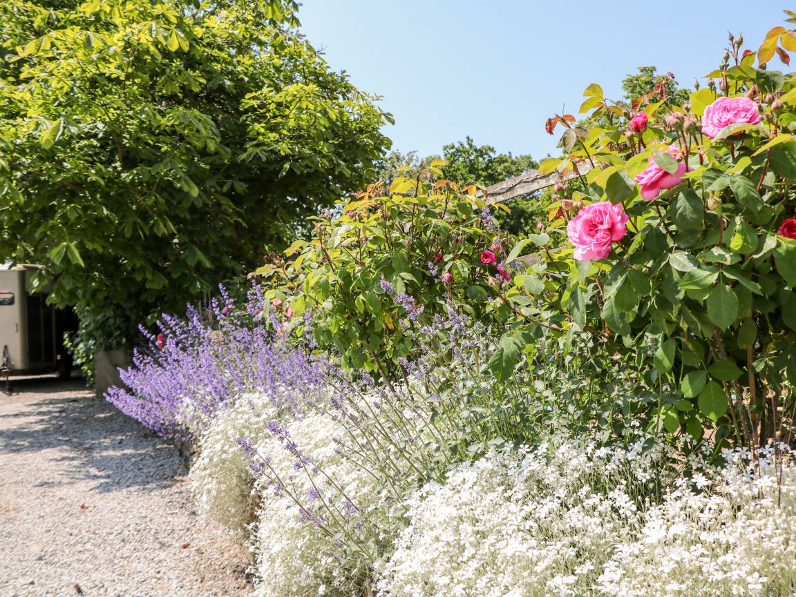 Cottage ∙ 1 Bedroom ∙ 2 Guests - Edale