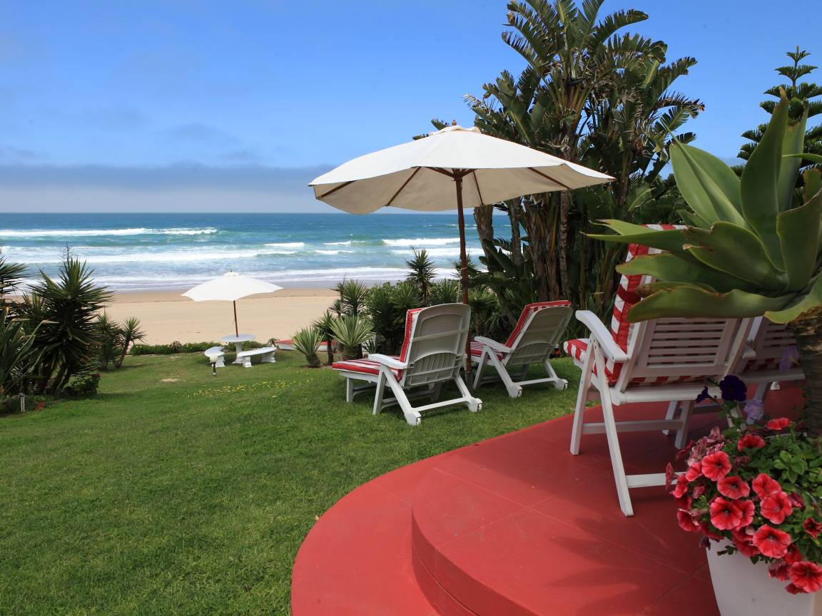 50 M² Apartment ∙ 1 Bedroom ∙ 2 Guests - Wilderness