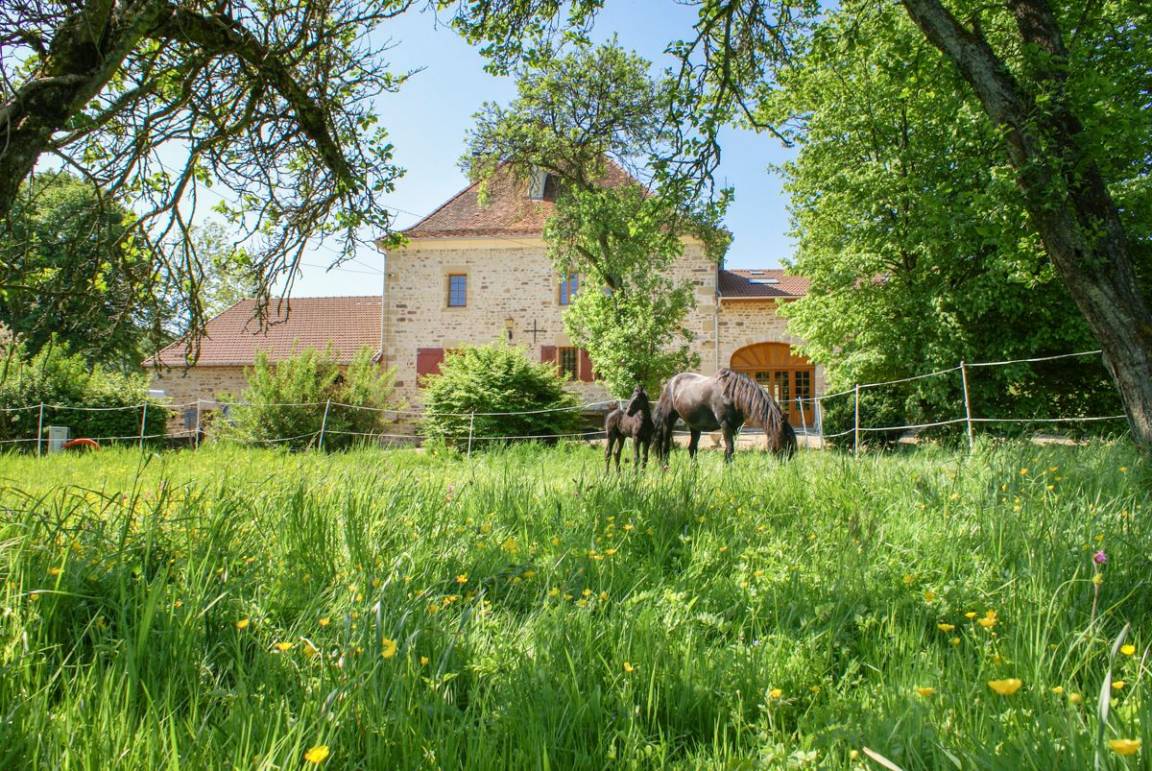 Château ∙ 3 Chambres ∙ 8 Personnes - Haute-Marne