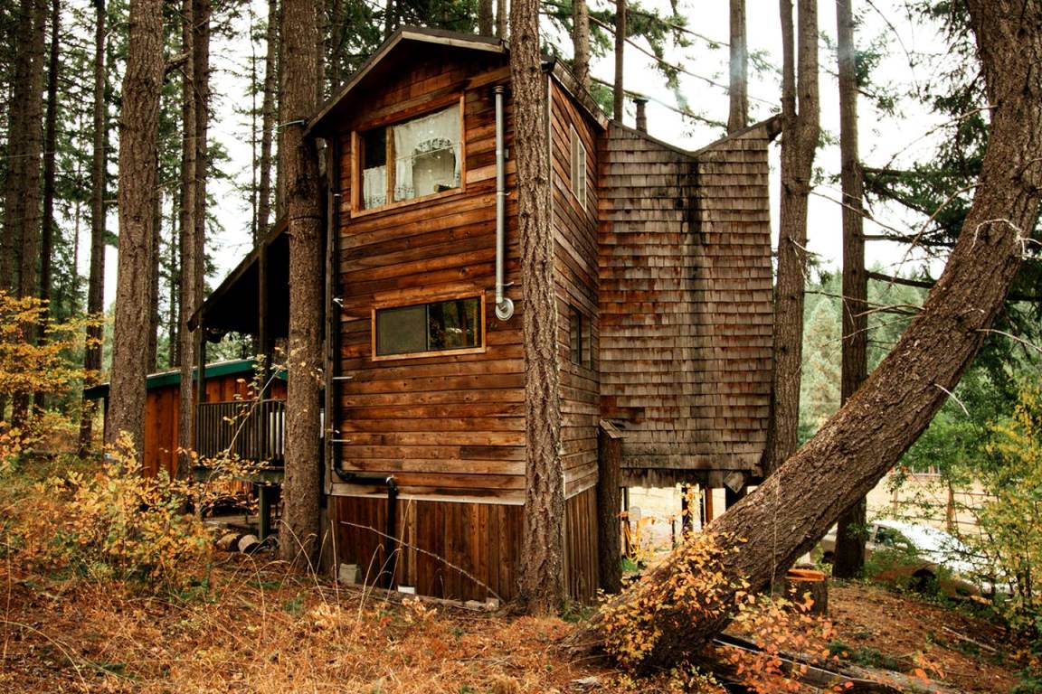 Acampamento ∙ 1 Quarto ∙ 4 Hóspedes - Washington