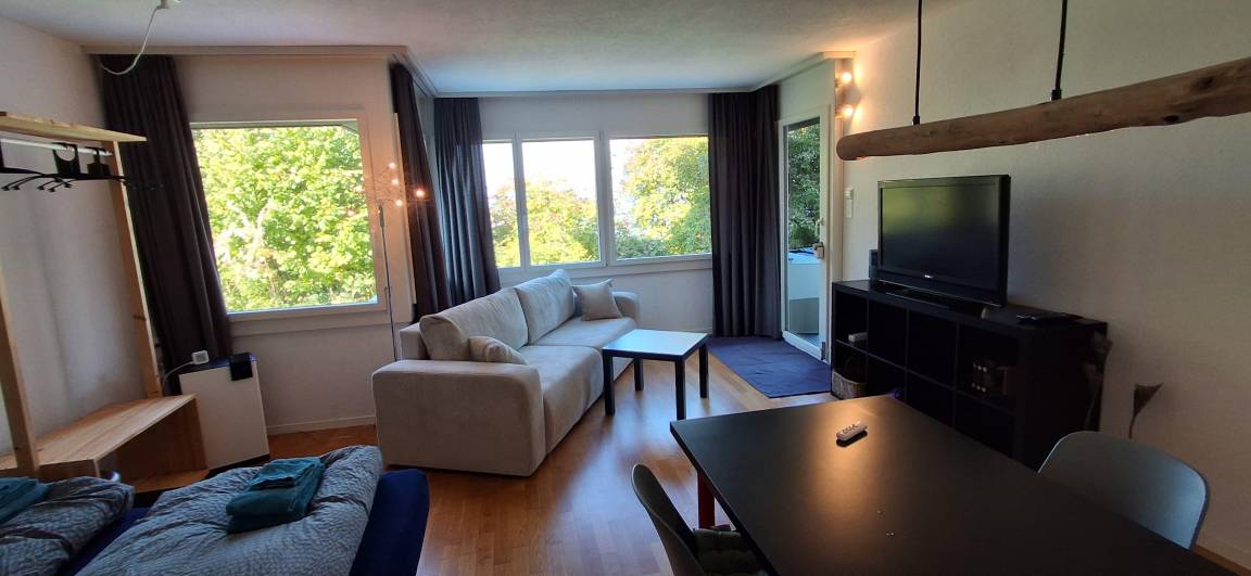 25 M² Appartement ∙ 1 Chambre ∙ 2 Personnes - Thoune