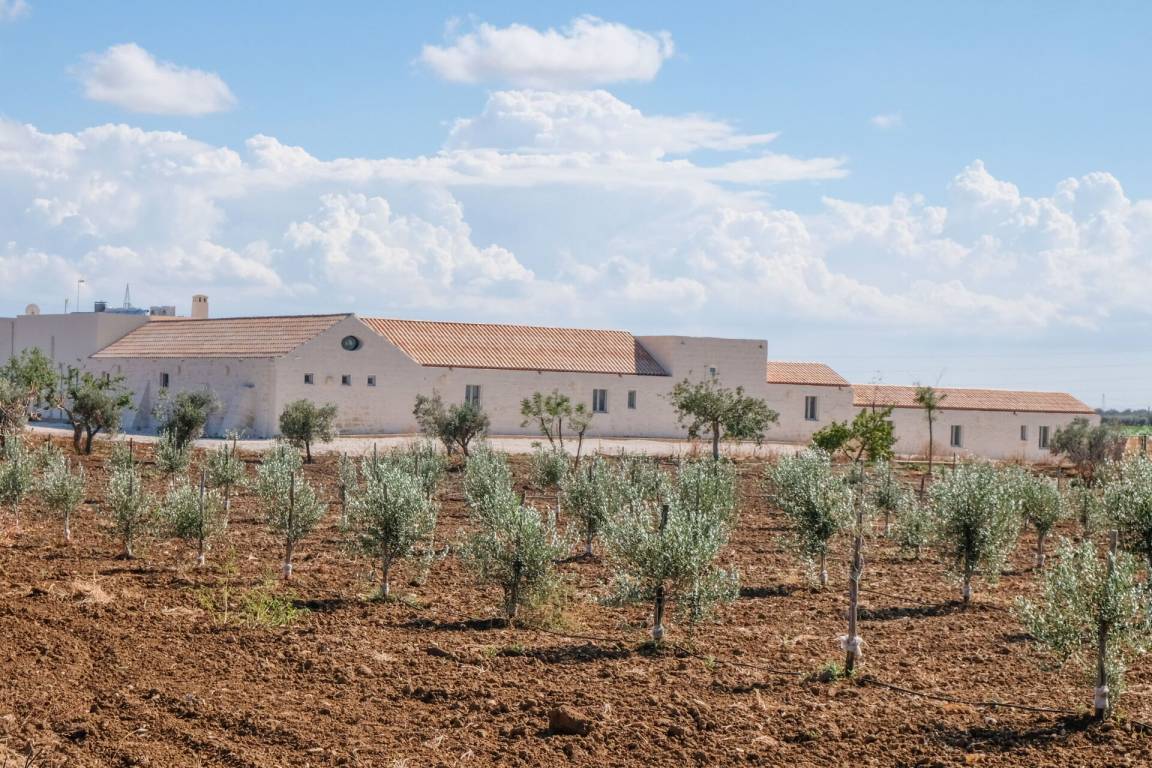 35 M² Hotel ∙ 1 Bedroom ∙ 2 Guests - Brindisi