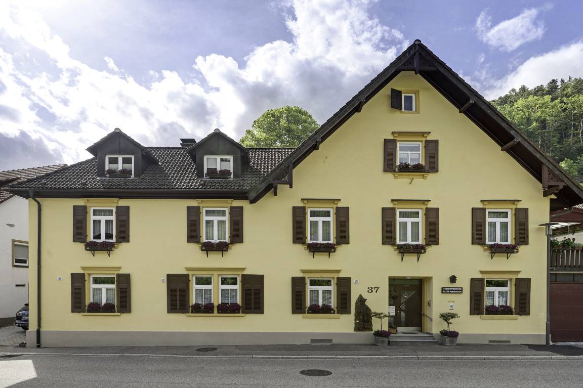 110 M² Ferienwohnung ∙ 2 Schlafzimmer ∙ 4 Gäste - Bad Peterstal-Griesbach