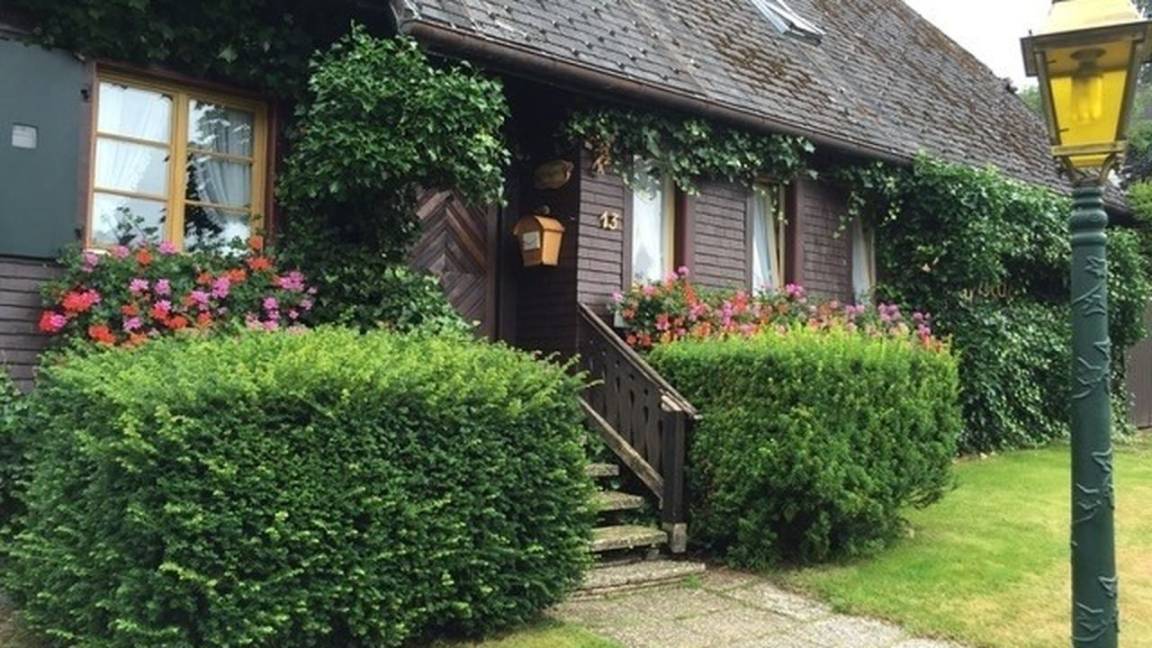 31 M² Apartment ∙ 1 Bedroom ∙ 2 Guests - Hinterzarten