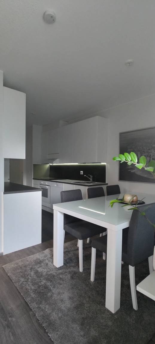 55 M² Huoneisto ∙ 1 Makuuhuone ∙ 2 Vierasta - Saarijärvi