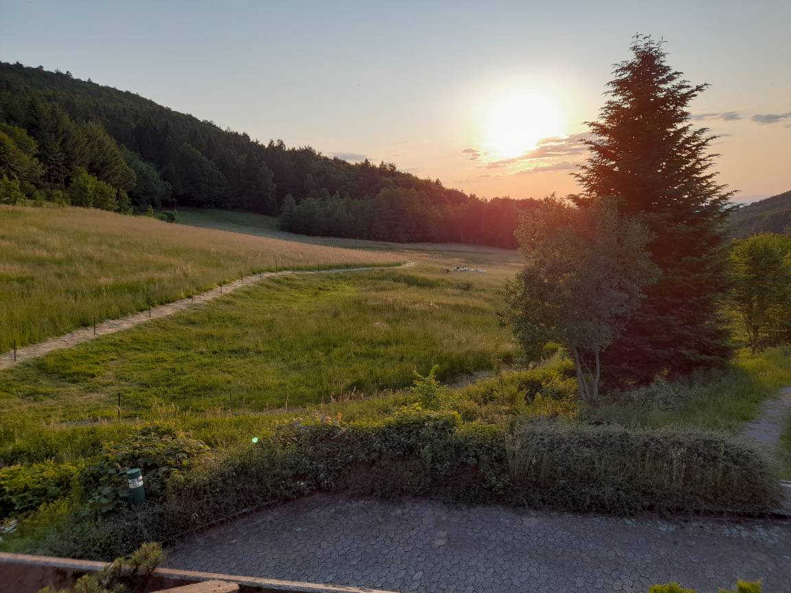 43 M² Appartement ∙ 1 Chambre ∙ 3 Personnes - Sasbachwalden