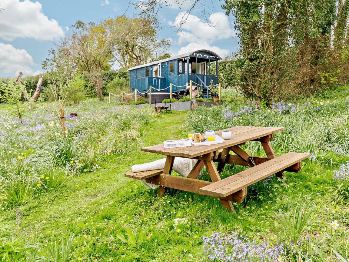 Cottage ∙ 1 Bedroom ∙ 2 Guests - Devon