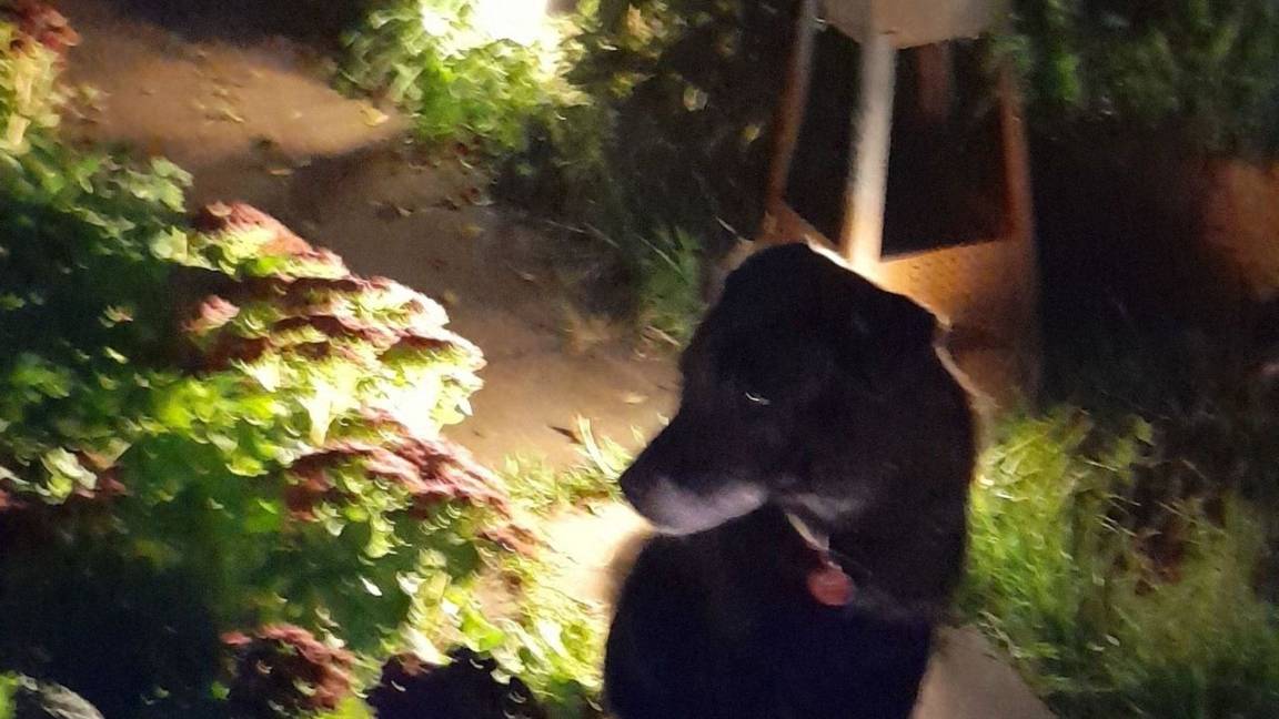 40 M² Appartement ∙ 1 Chambre ∙ 4 Personnes - Blankenheim