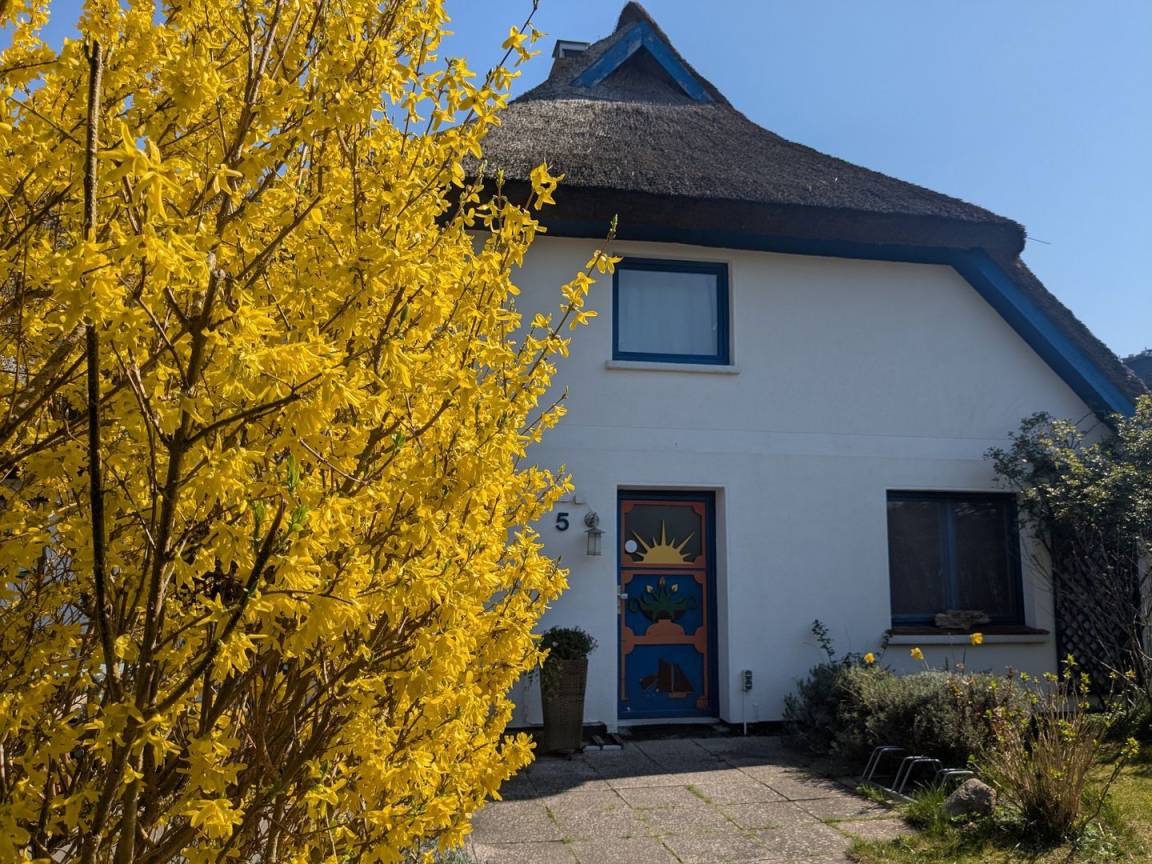 70 M² Ferienhaus ∙ 2 Schlafzimmer ∙ 4 Gäste - Darß