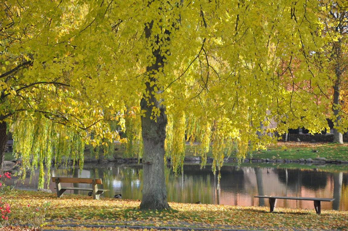 110 M² Ferienhaus ∙ 2 Schlafzimmer ∙ 5 Gäste - Fehmarn