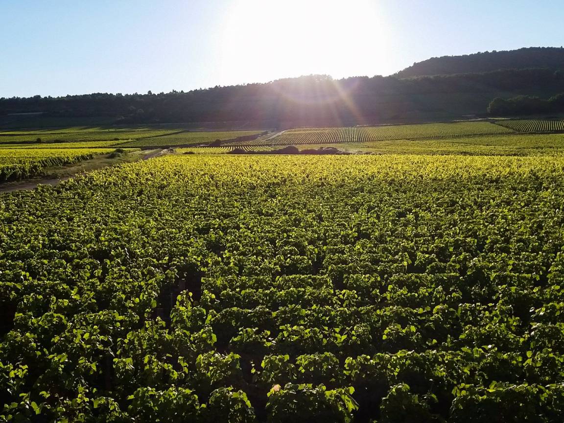 Villa ∙ 8 Bedrooms ∙ 15 Guests - Meursault