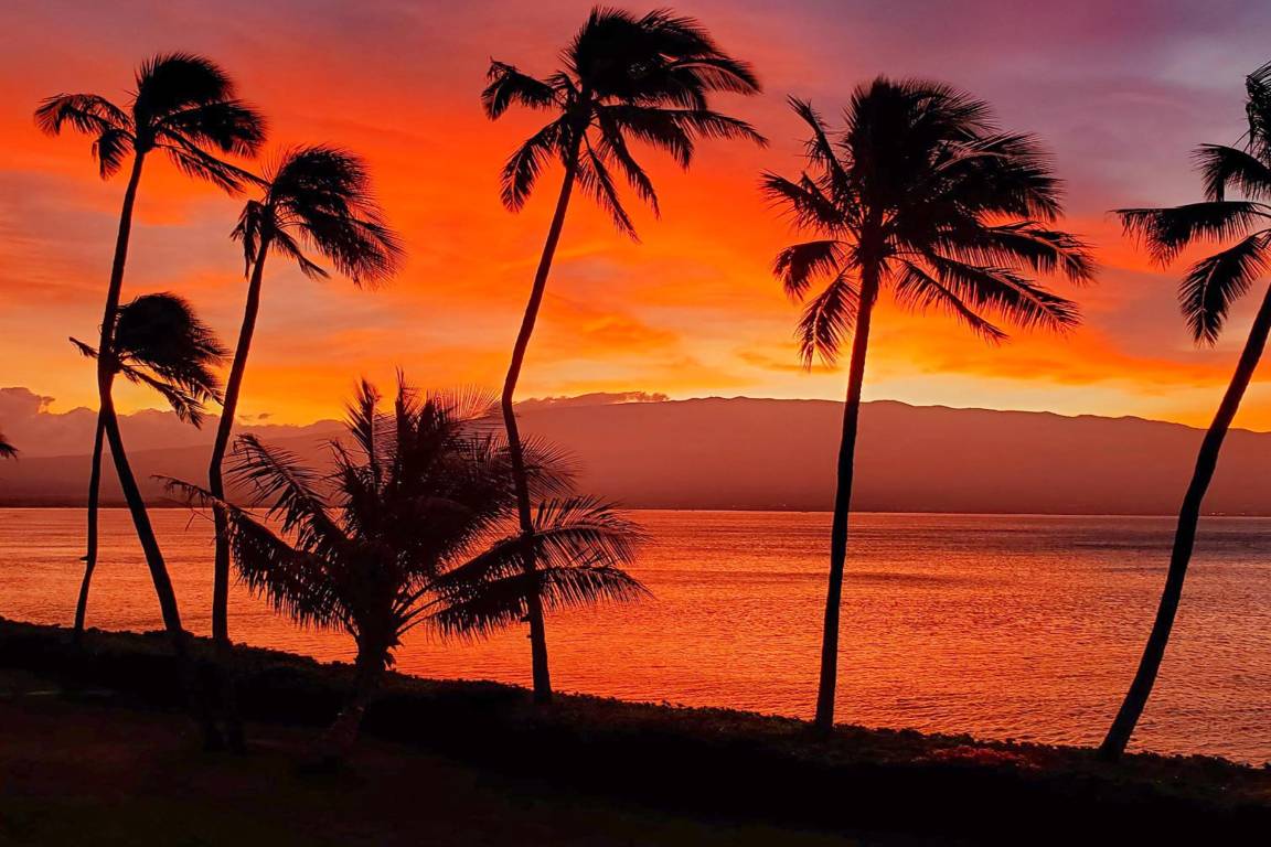 73 M² Condo ∙ 2 Bedrooms ∙ 6 Guests - Wailuku, HI