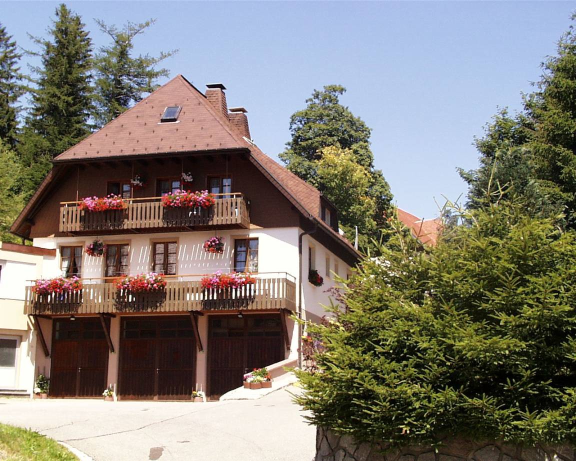 35 M² Ferienwohnung ∙ 1 Schlafzimmer ∙ 2 Gäste - Todtnauberg