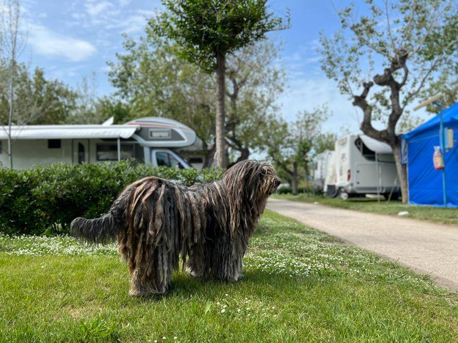 53 M² Mobil-home ∙ 2 Chambres ∙ 6 Personnes - Rimini