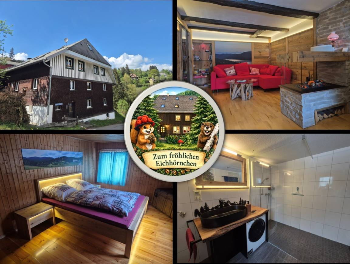 60 M² Apartment ∙ 1 Bedroom ∙ 4 Guests - Titisee-Neustadt