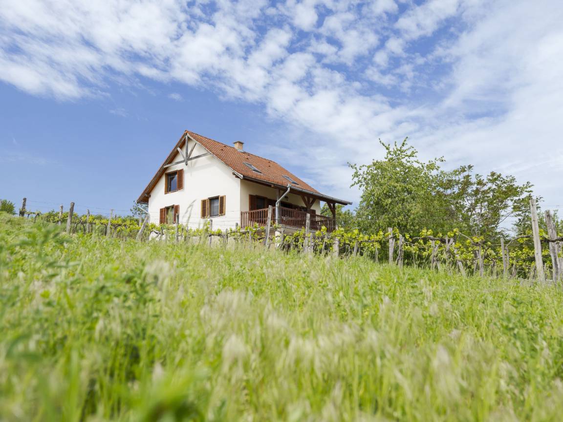 House ∙ 4 Bedrooms ∙ 8 Guests - Balatonlelle