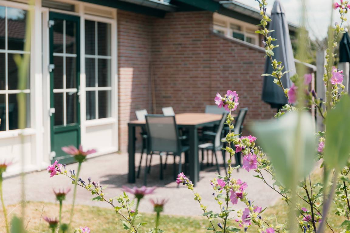 50 M² Hotel ∙ 3 Slaapkamers ∙ 6 Gasten - Ermelo
