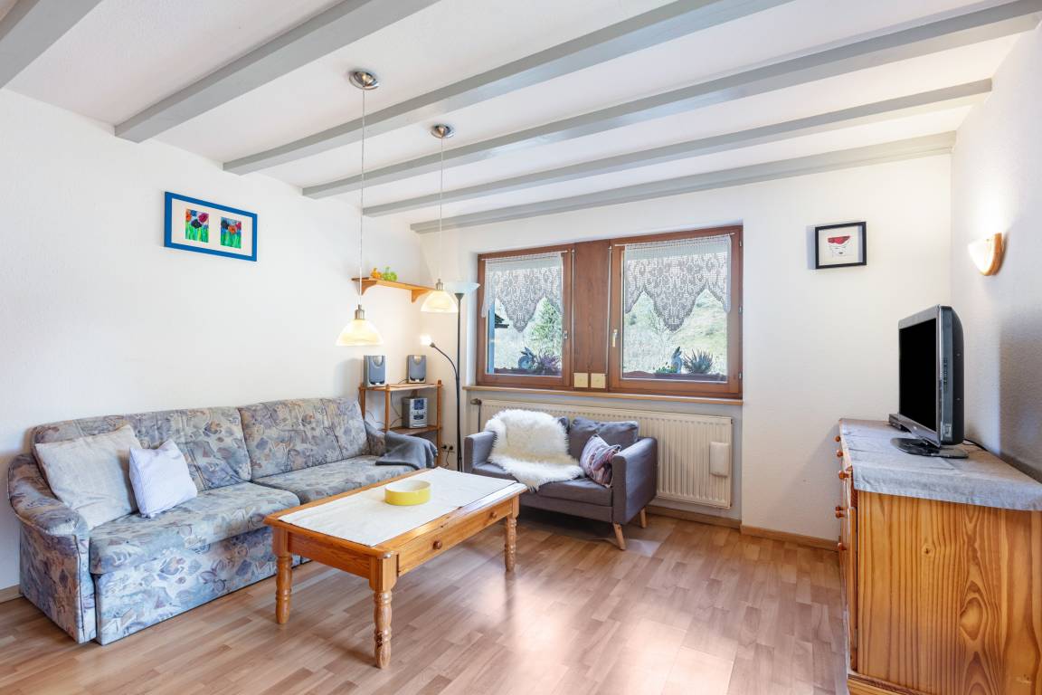 75 M² Apartment ∙ 2 Bedrooms ∙ 5 Guests - Todtnau