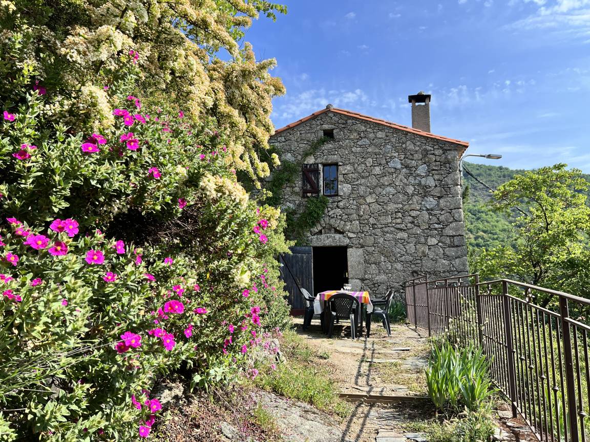150 M² Maison De Vacances ∙ 4 Chambres ∙ 8 Personnes - Mont Aigoual