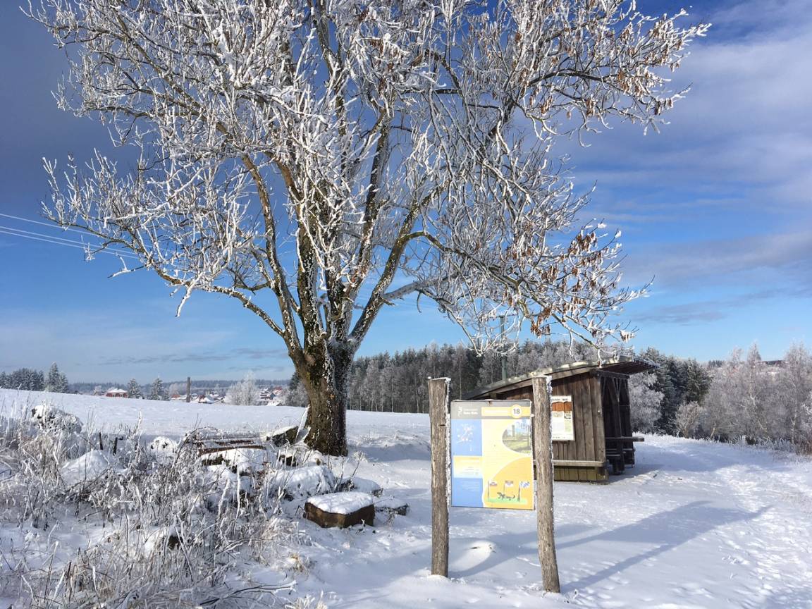 Ferienwohnung ∙ 1 Schlafzimmer ∙ 5 Gäste - Wasserkuppe