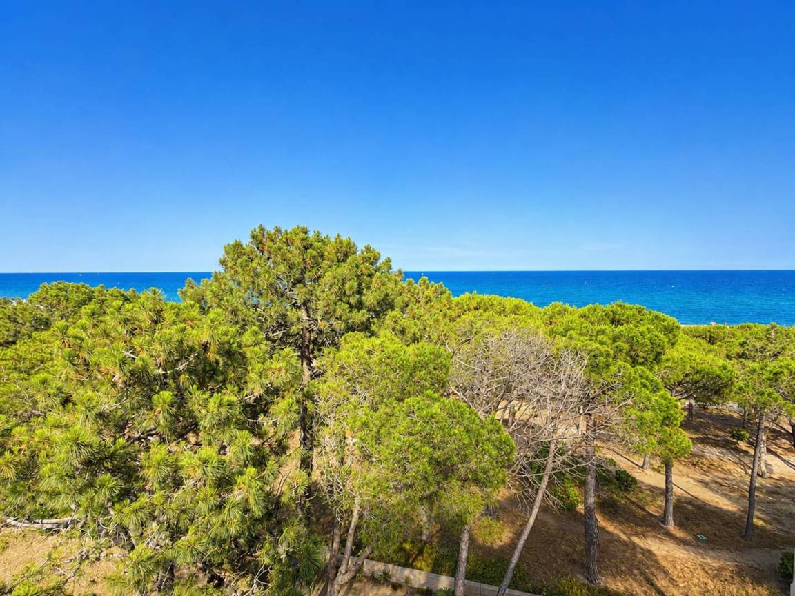 30 M² Appartement ∙ 1 Chambre ∙ 3 Personnes - Argelès-sur-Mer