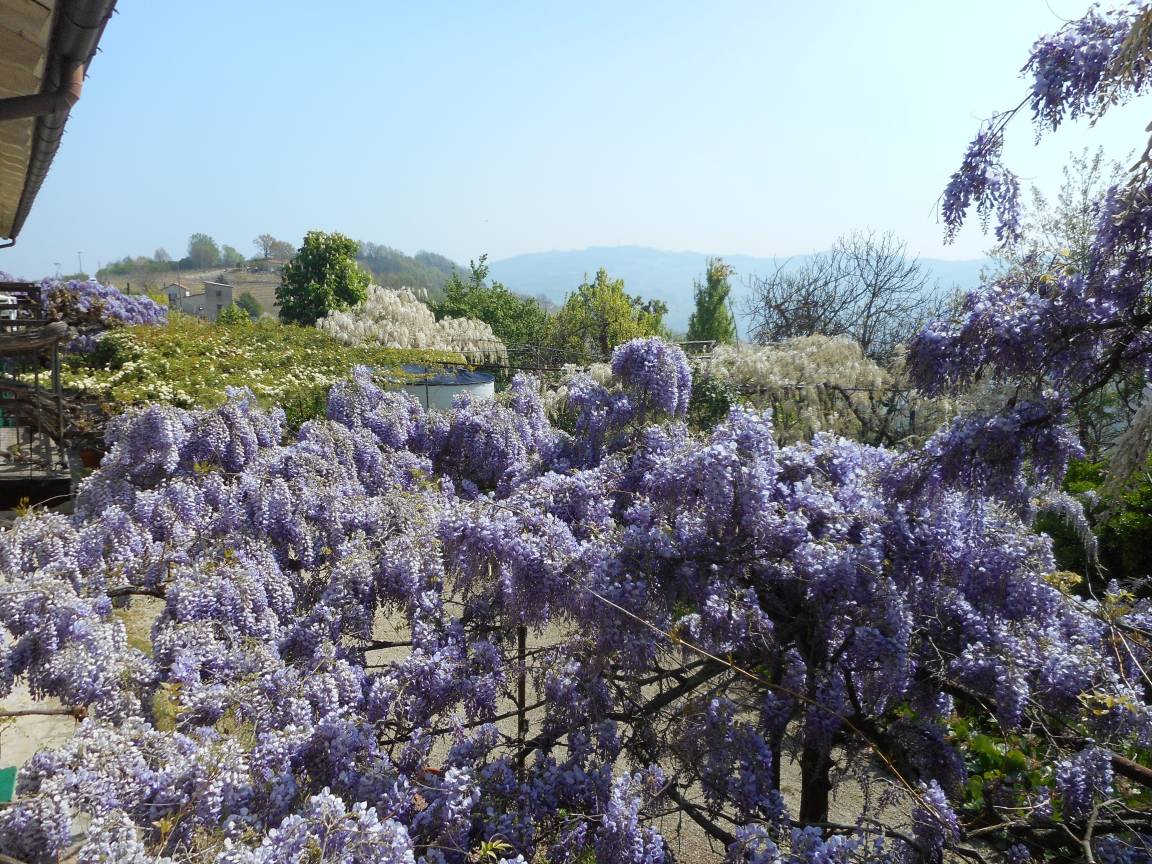 40 M² Longère ∙ 1 Chambre ∙ 2 Personnes - Piémont