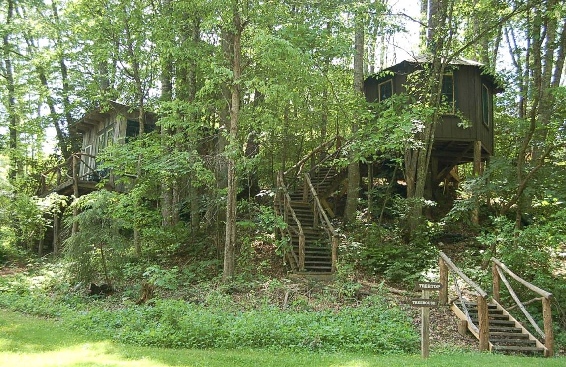 Camping ∙ 1 Bedroom ∙ 2 Guests - Blue Ridge Mountains