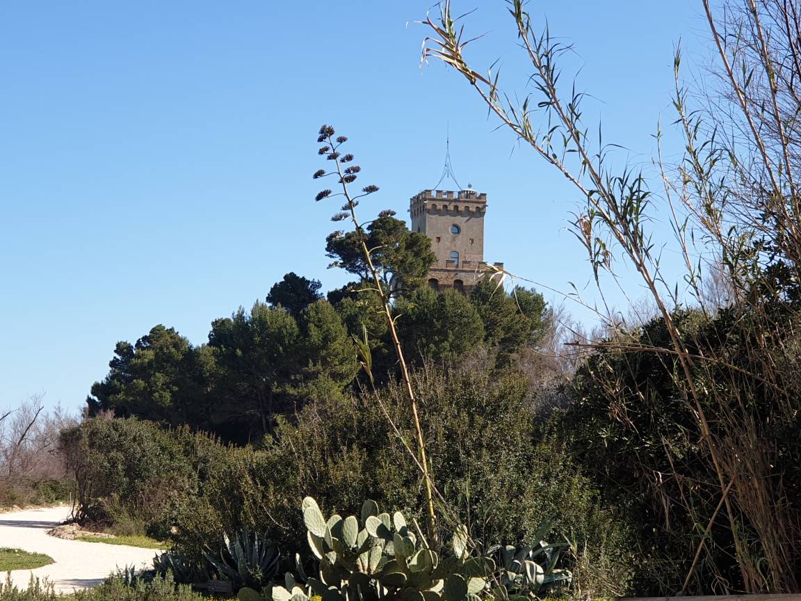 Apartamento ∙ 3 Habitaciones ∙ 6 Huéspedes - Pineto