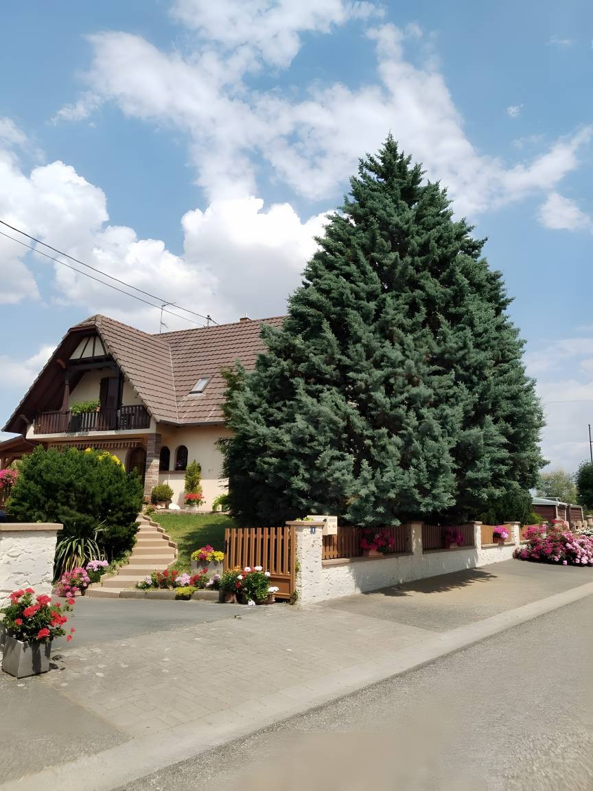 27 M² Chambre D'hôtes ∙ 2 Chambres ∙ 4 Personnes - Alsace