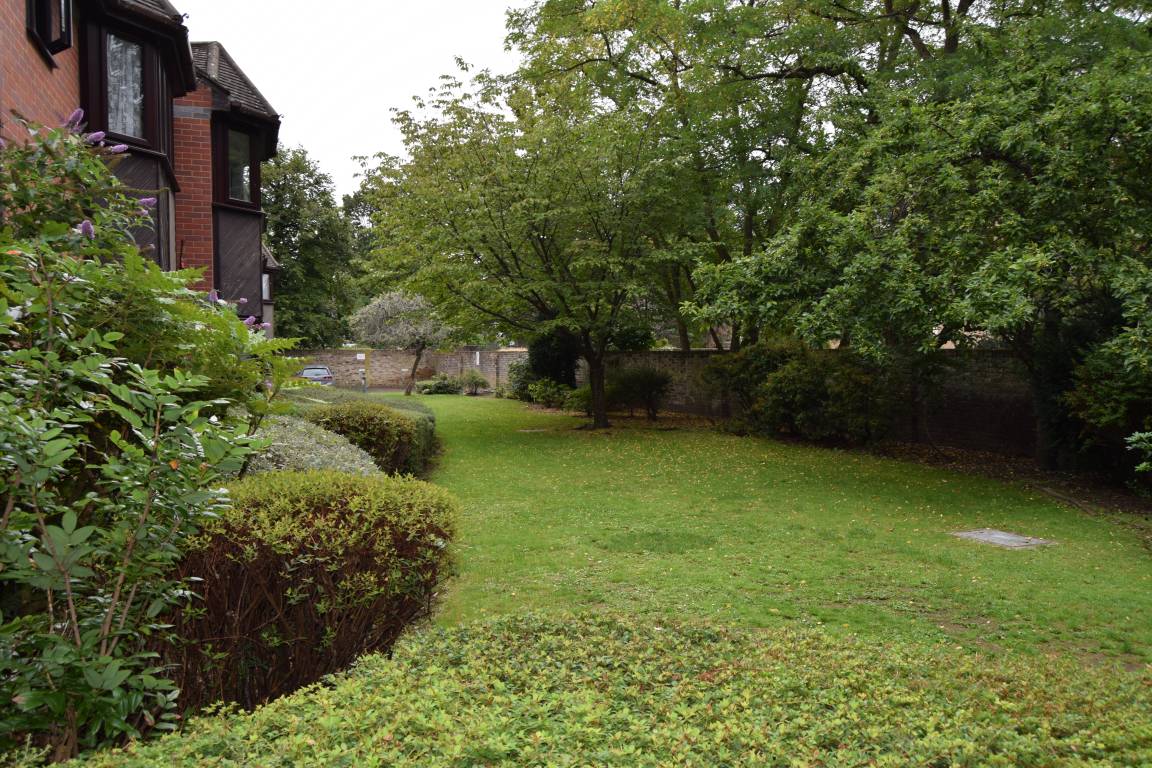 Apartment ∙ 1 Bedroom ∙ 6 Guests - Crystal Palace - London