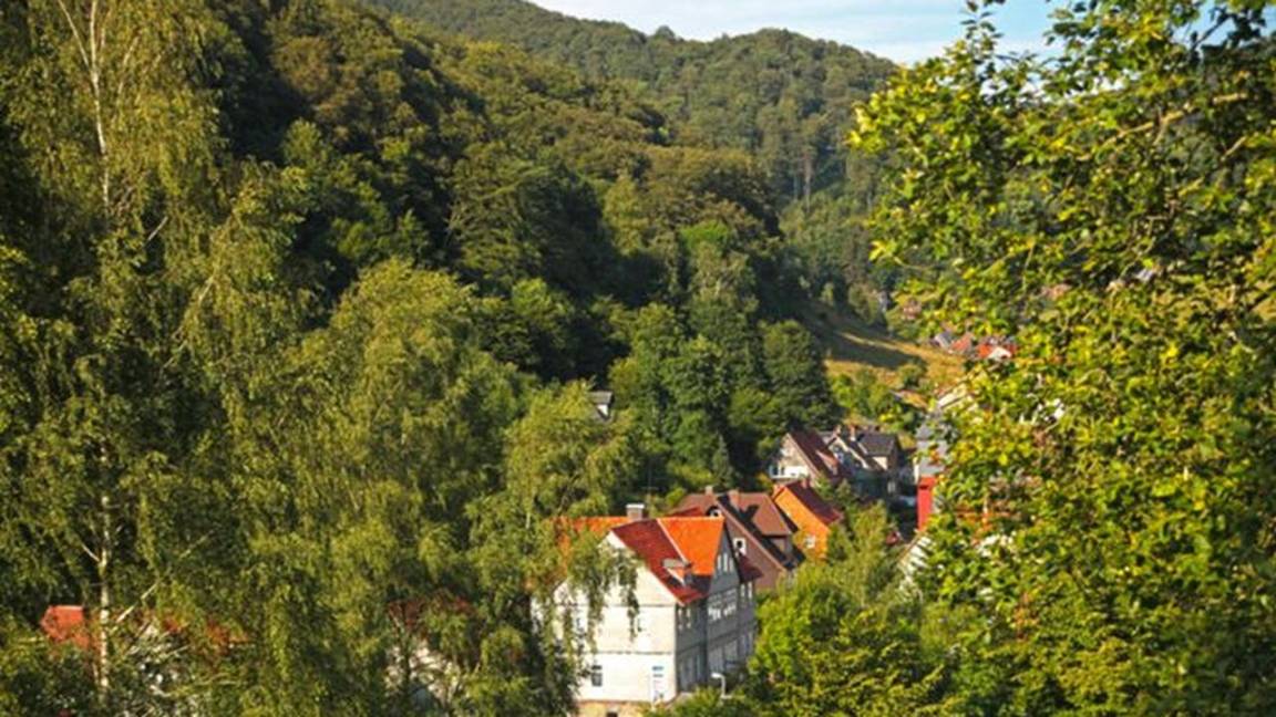 90 M² Ferienwohnung ∙ 2 Schlafzimmer ∙ 5 Gäste - Bad Grund (Harz)