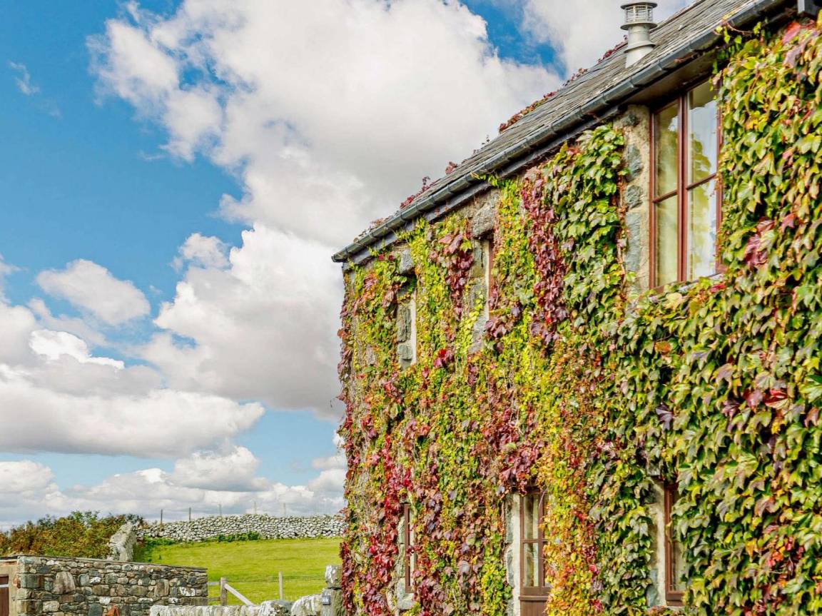 Cottage ∙ 2 Bedrooms ∙ 4 Guests - Tal-y-bont