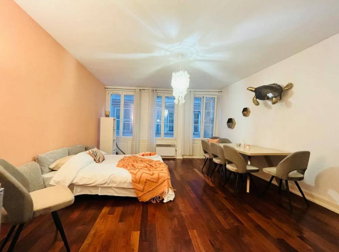 32 M² Apartamento ∙ 1 Huésped - Estrasburgo