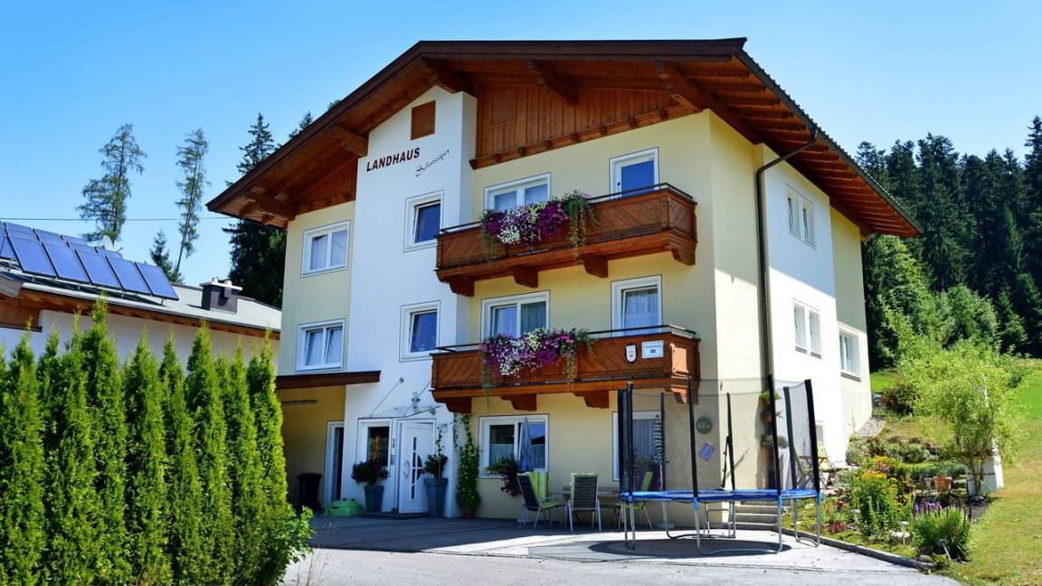 Apartment/2 Schlafräume /Dusche ,Wc Und  Balkon - Landhaus Schweiger - Söll