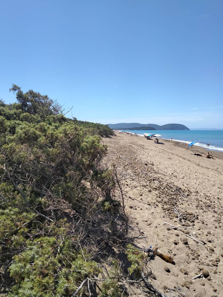 Apartment ∙ 2 Bedrooms ∙ 6 Guests - Piombino