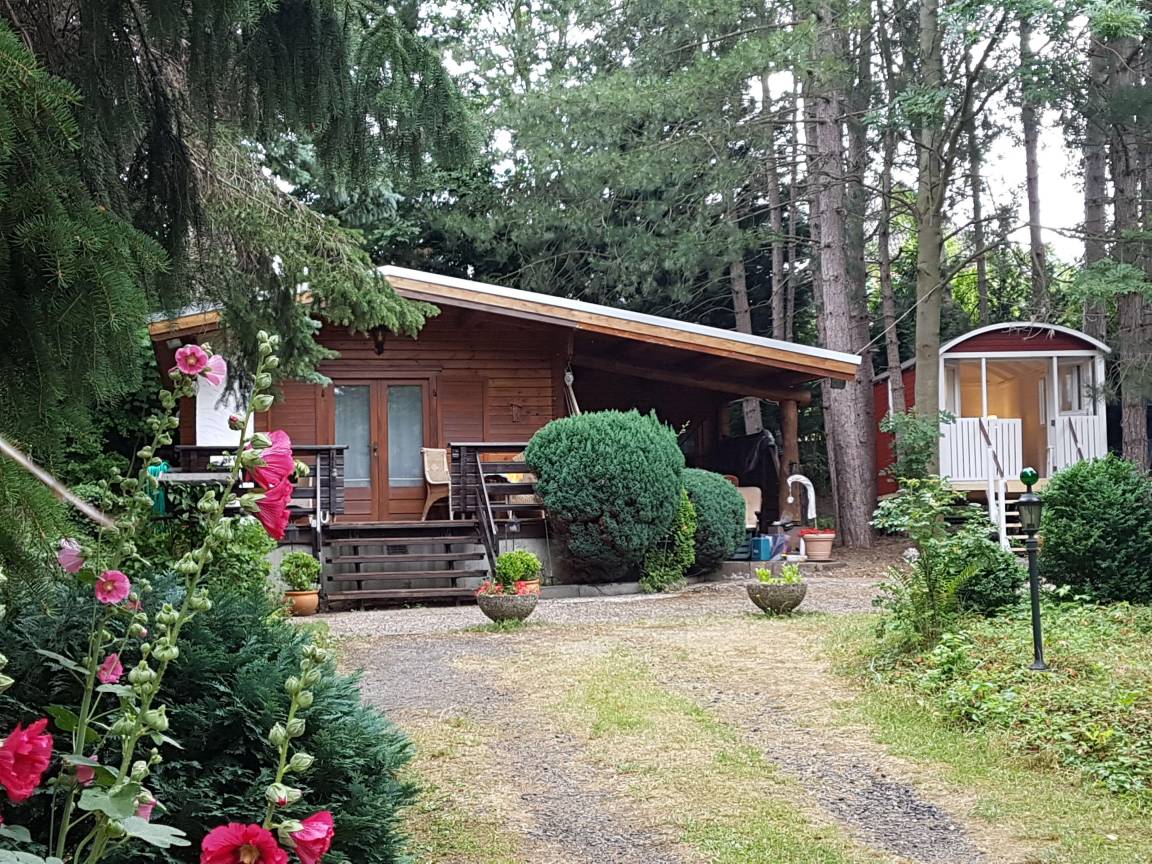 46 M² Ferienhaus ∙ 2 Schlafzimmer ∙ 4 Gäste - Goslar