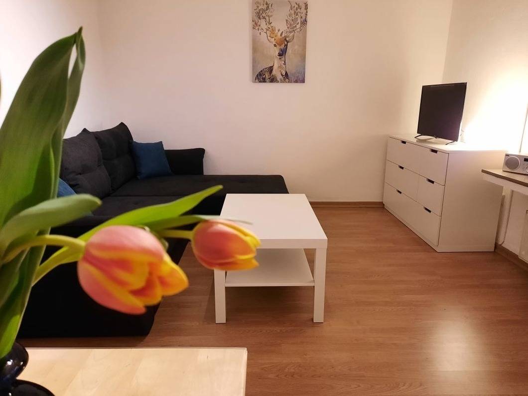 45 M² Appartement ∙ 1 Slaapkamer ∙ 2 Gasten - Oldenzaal