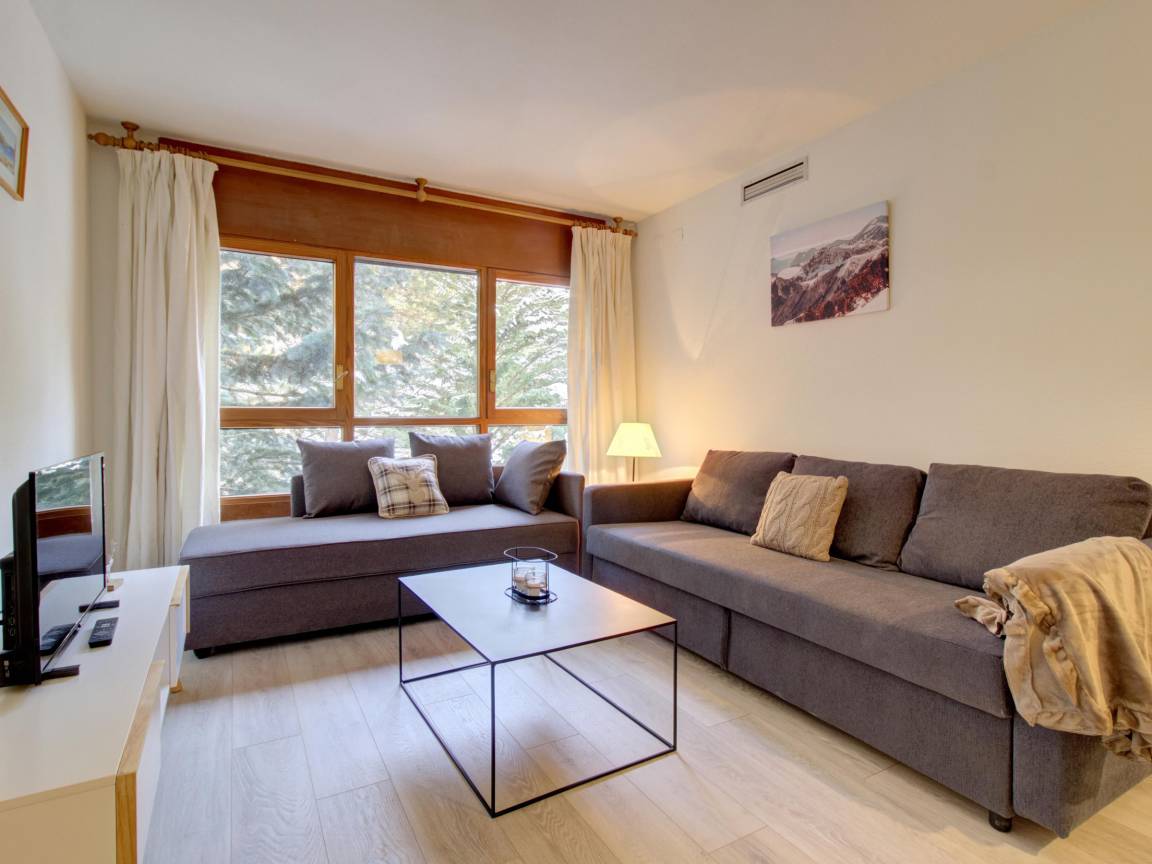 45 M² Apartment ∙ 1 Bedroom ∙ 5 Guests - Baqueira
