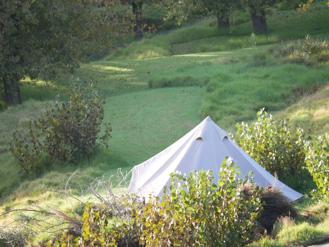 Camping ∙ 1 Bedroom ∙ 4 Guests - Northland