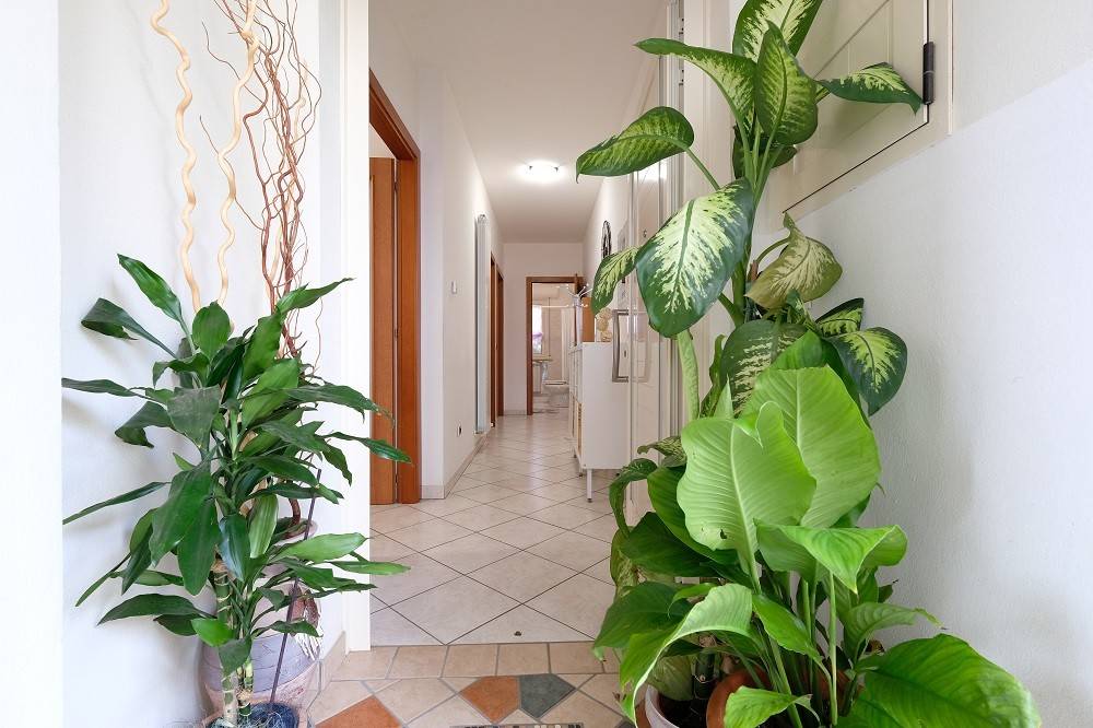 45 M² Apartment ∙ 2 Bedrooms ∙ 4 Guests - Roseto degli Abruzzi