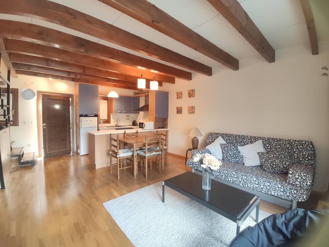 50 M² Ferienwohnung ∙ 1 Schlafzimmer ∙ 6 Gäste - Villanúa