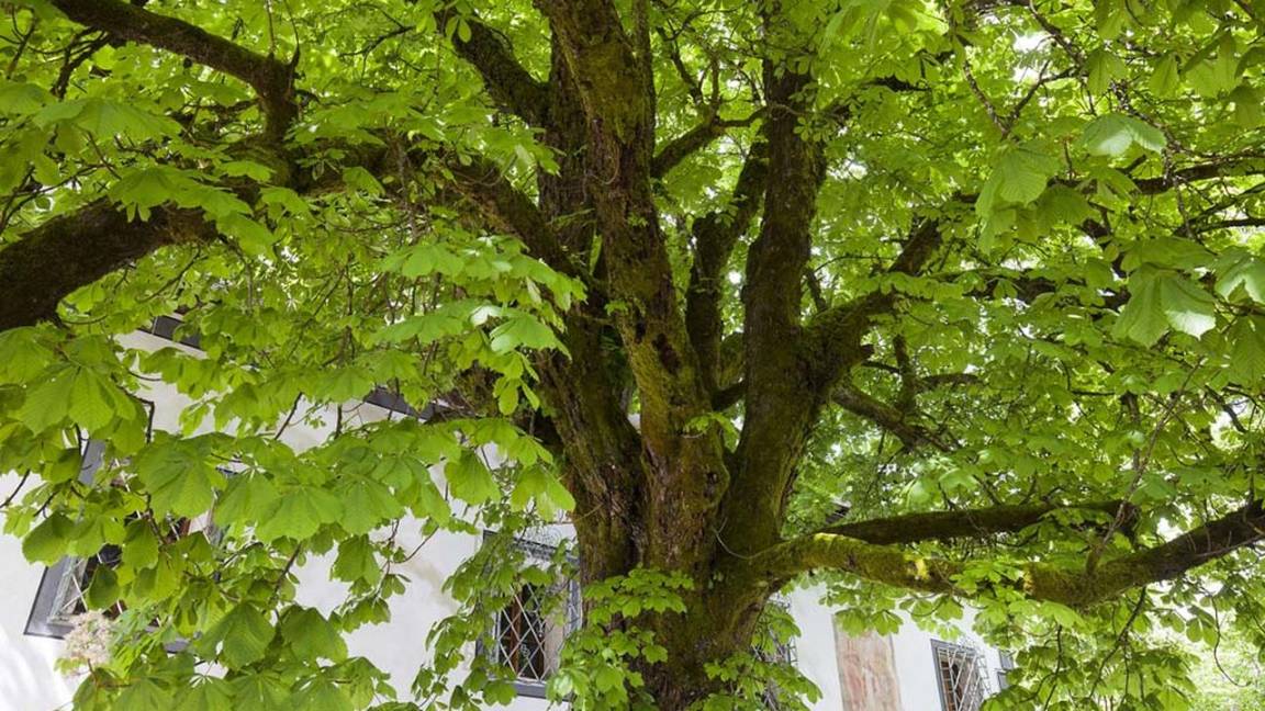 Hotel ∙ 3 Hóspedes - Bad Goisern