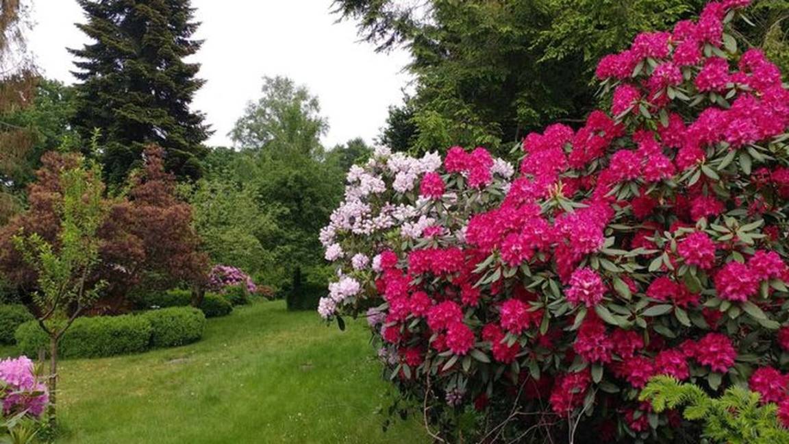 60 M² Apartment ∙ 1 Bedroom ∙ 2 Guests - Worpswede